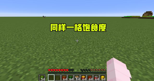 我的世界神秘果图标