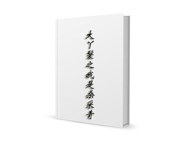 大丫鬟小说截图