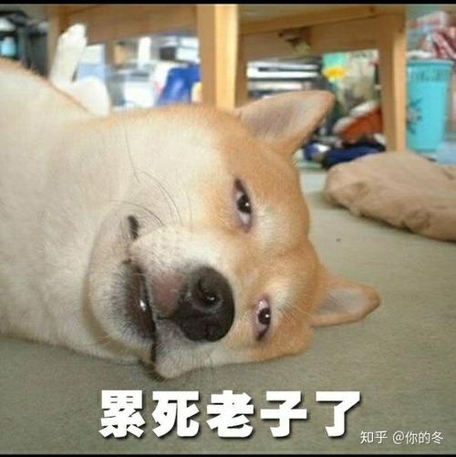 微信运动恶搞封面原图截图