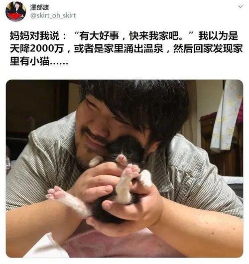 家里不给养猫截图