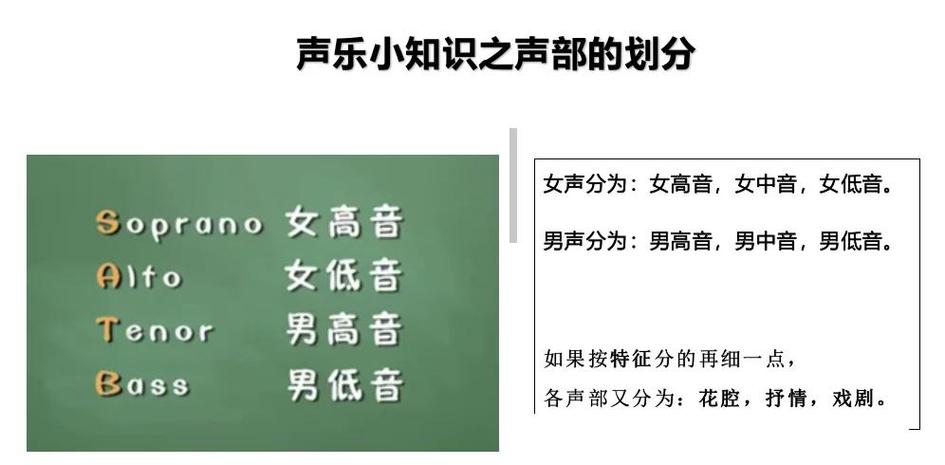 人声主要分为哪些类型图标