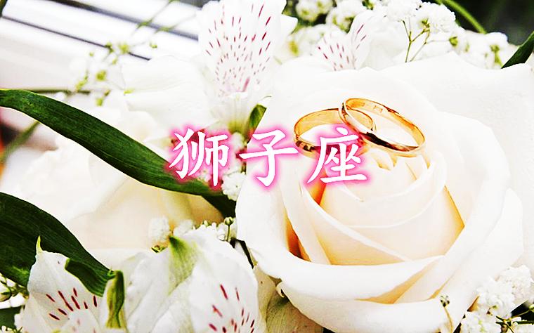 金牛女和狮子男图标