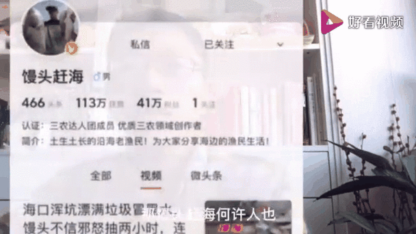拍短视频一年能收入多少钱截图