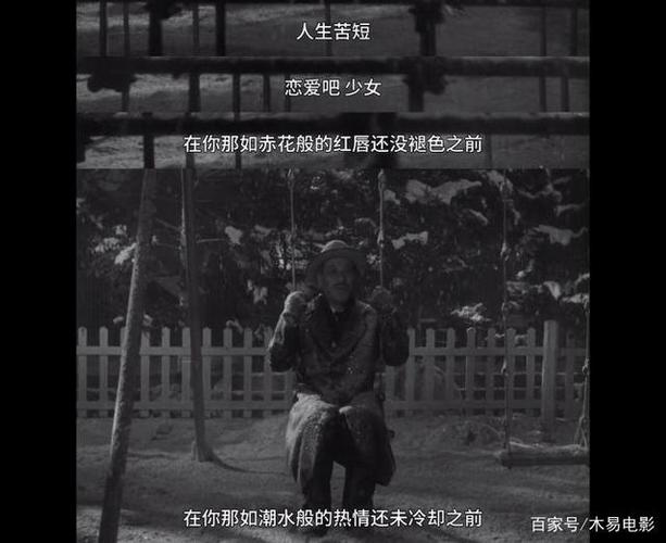 精彩电影短视频图标