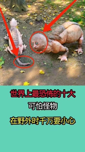 最可怕的怪兽是谁图标