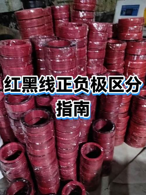 红色的是正极还是黑色的是正极图标
