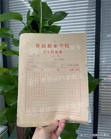 学历档案在自己手里怎么处理图标