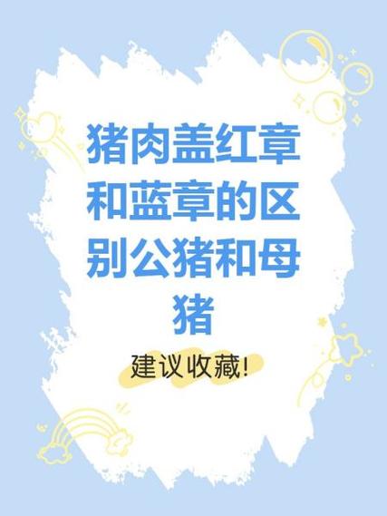 公猪肉和母猪肉的印章图标