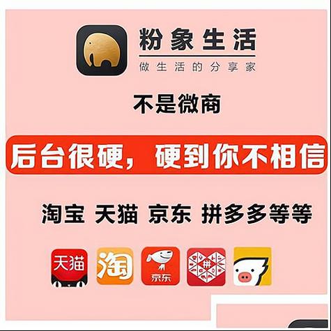 粉象挣钱是真的吗图标