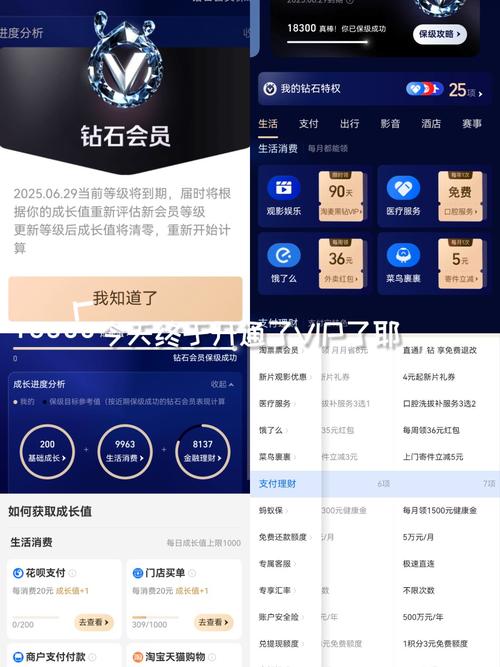 淘宝店铺会员怎么升级图标