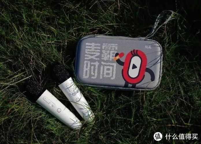 麦克风一说话就炸麦图标