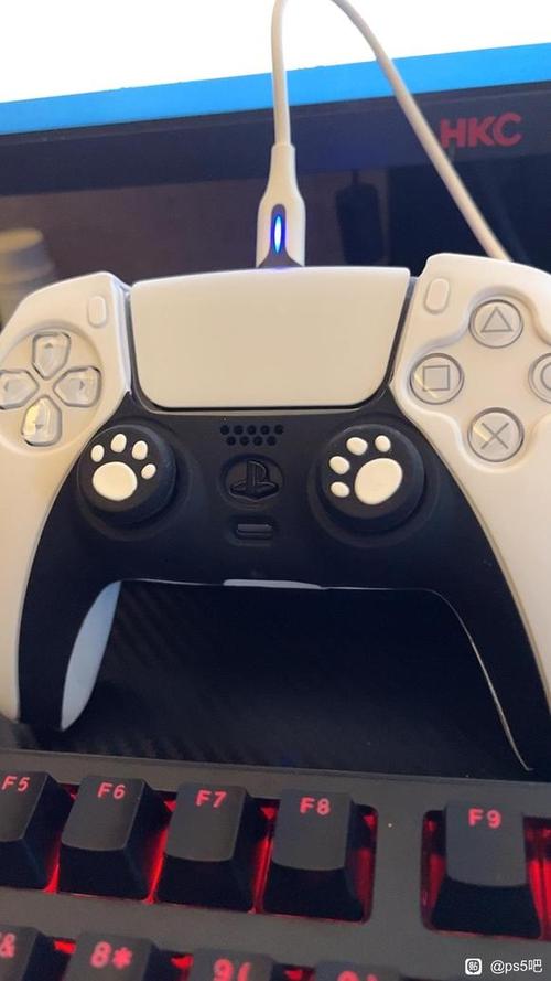 ps5手柄黄灯一直亮截图