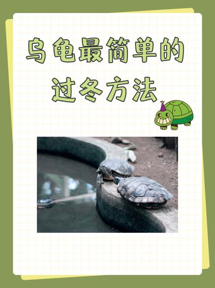 如何避免乌龟凭空消失截图