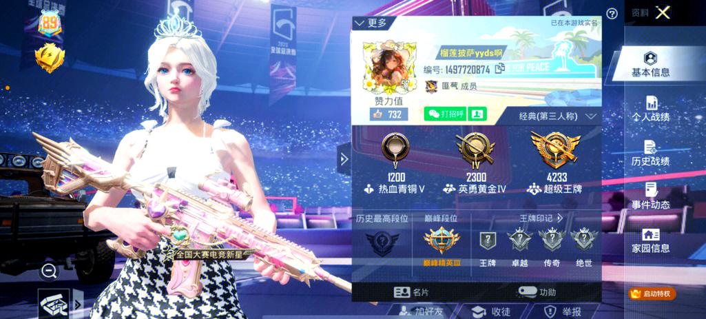 和平精英无限点券版v1.3.7图标