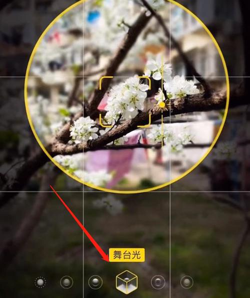 苹果拍照灯光下一闪一闪图标