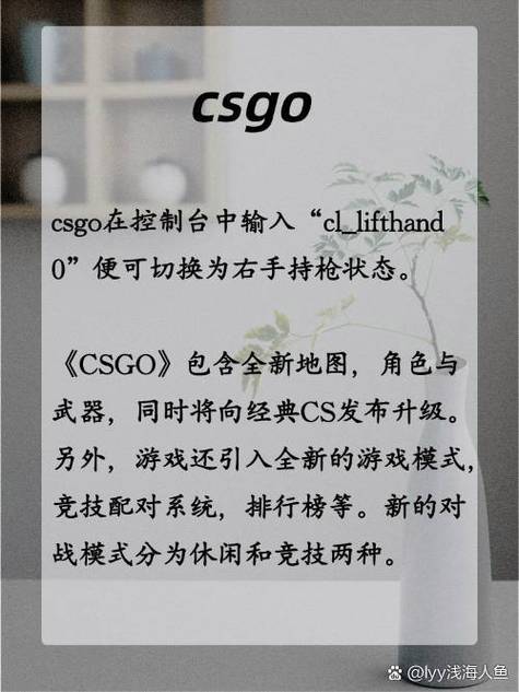 csgo如何调左右手持枪图标