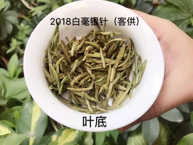 白茶属于什么茶图标