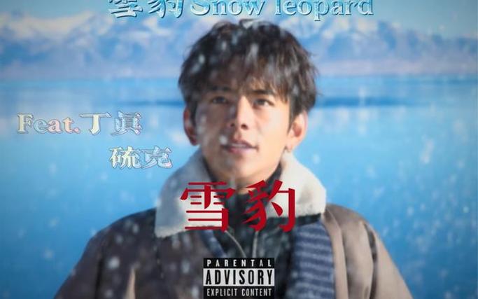 丁真雪豹盒语音包app图标