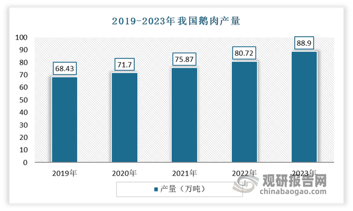 现在养鹅的市场前景怎么样啊图标