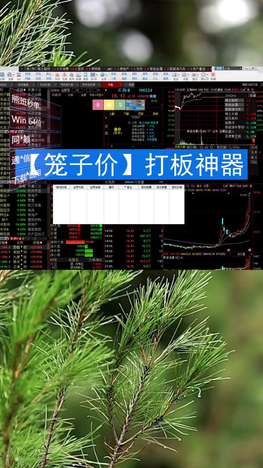 同花顺打板设置