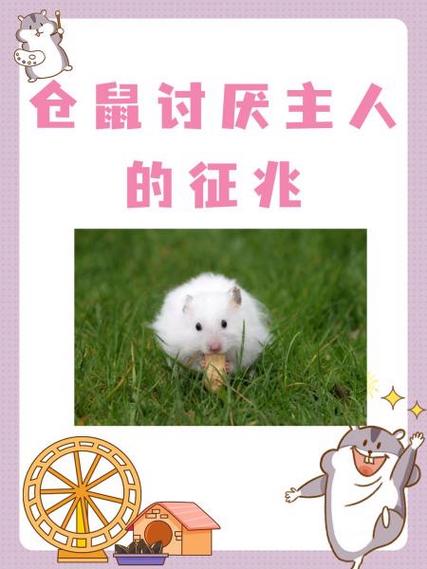 仓鼠讨厌主人表现图标
