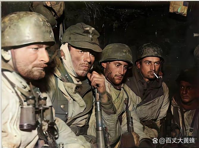 真实战场游戏图标