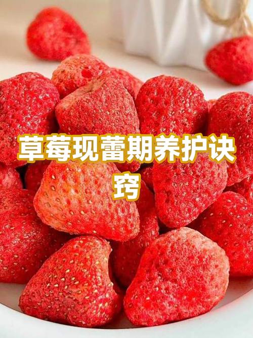 现蕾期和开花期的区别图标