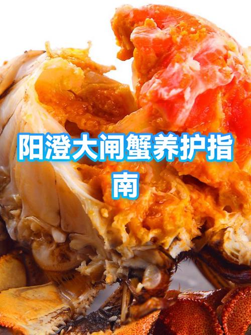 螃蟹一般保存几天图标