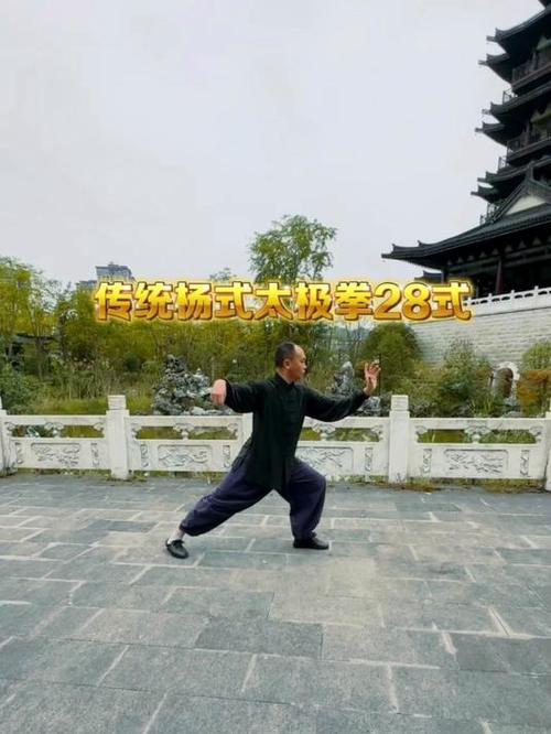 太极八十八式教学视频截图