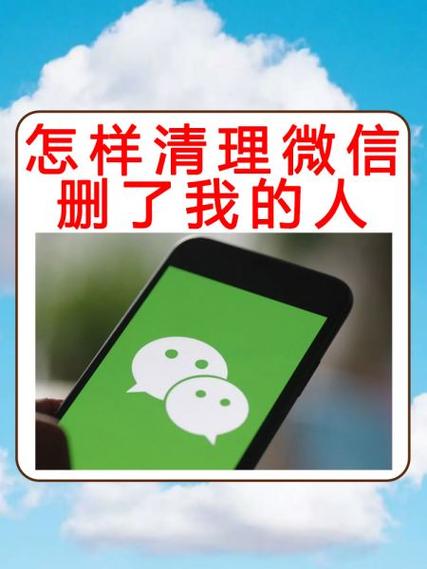微信清理把我删除的人