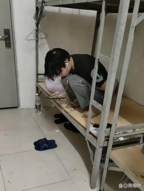 室友中国版截图