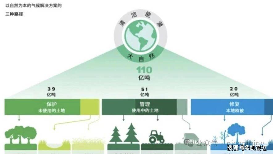 碳汇交易平台