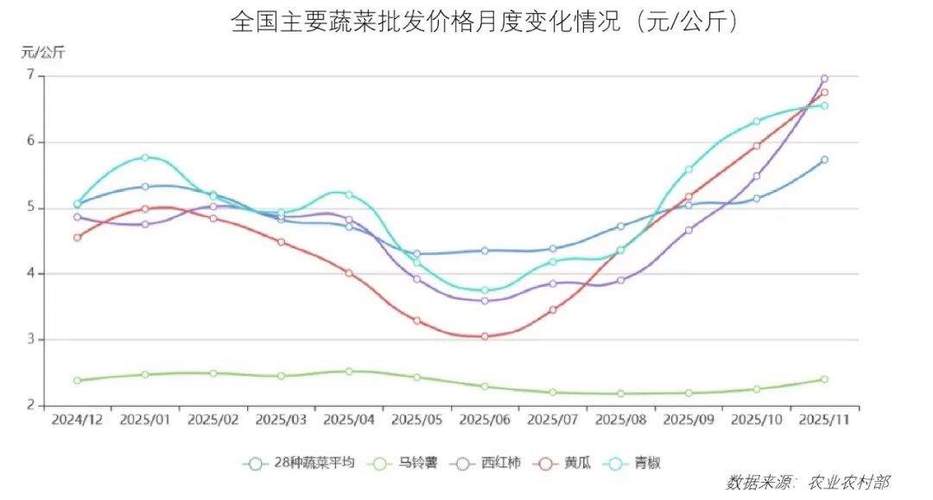中国蔬菜价格信息网图标
