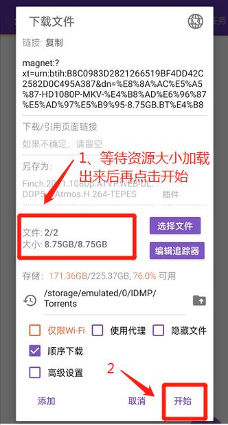 迅雷链接如何用idm截图
