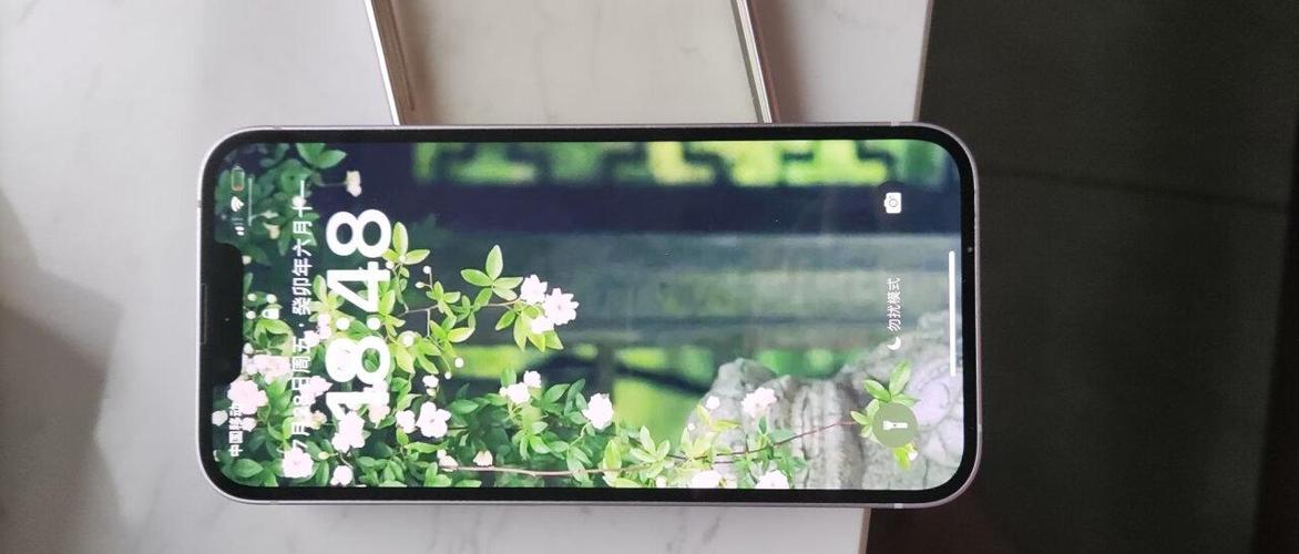 苹果摄像头拍照泛紫截图