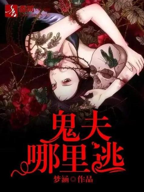 苦瓜书盘app图标