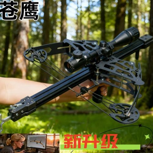弹弓和弓箭哪个精度高图标