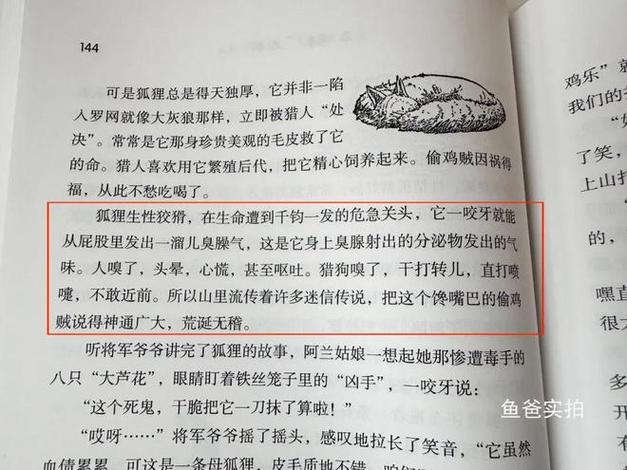 子夜鼠的小说截图