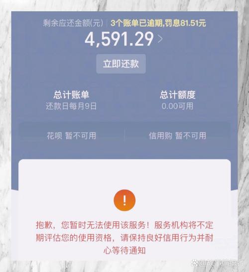 花呗欠了1万逾期6年了图标