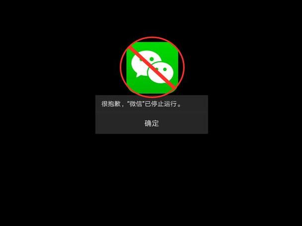 能让微信闪退的表情截图