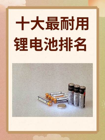 十大最耐用锂电池排名图标