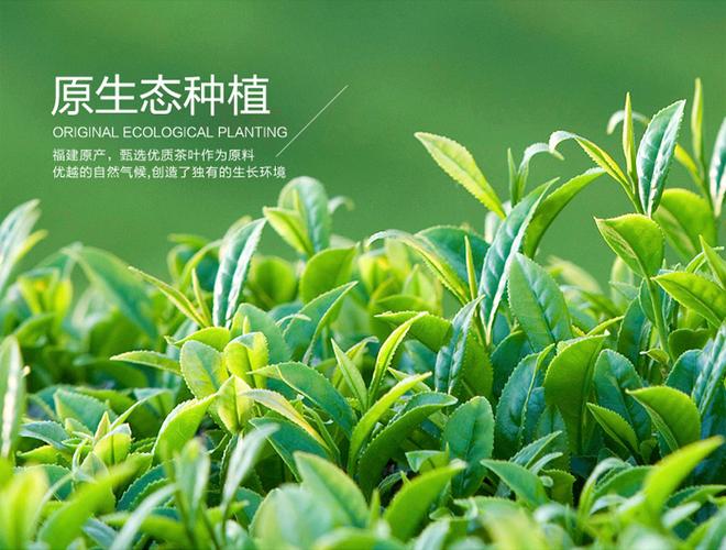 益生茶图标