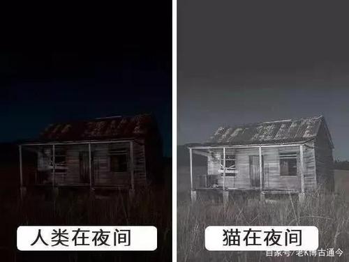 没有色彩的世界图标