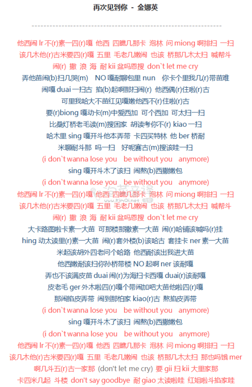 泡菜音译图标