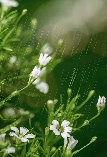 手机屏幕下雨桌面