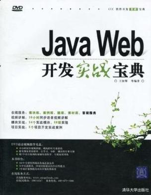jsp页面写java代码图标