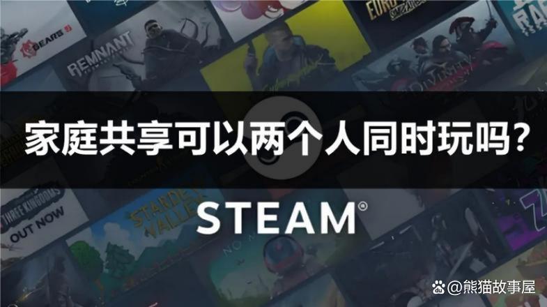 steam可以两个人用不图标
