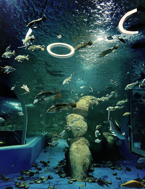 深海水族馆破解图标