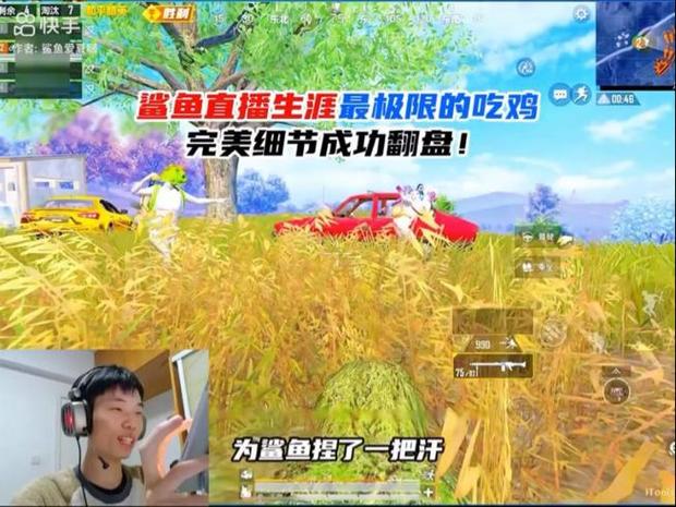 鲨鱼吃鸡游戏解说图标