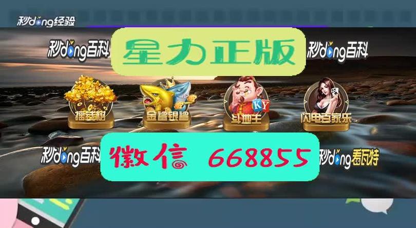 在线星力平台图标
